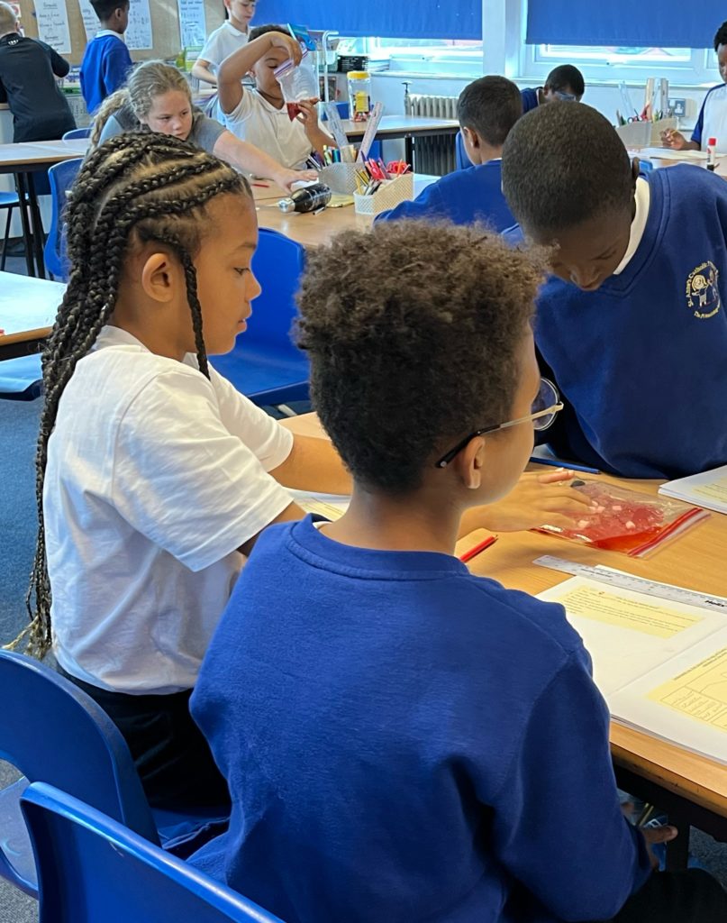 St Anne's Catholic Primary School